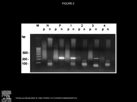 Fertility And Sterility Ppt Download