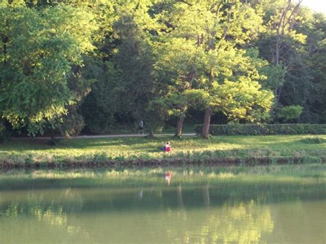 Hidden Leaf Jonin Vs Comic Street Levelers Battles Comic Vine