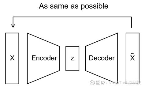 北大学者将transformer模型带入单细胞分析领域，能给出多层次的生物学解释，软件包与 2017 年， 谷歌 公司推出