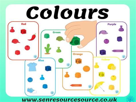 Colours Sorting Activity Teaching Resources