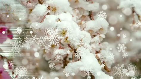 С ДОБРЫМ ЧУДЕСНЫМ УТРОМ💎💎💎💎💎💎 Youtube