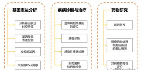 （基因芯片的应用领域）