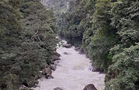 Adani In Favor Of Run Of The River 570 Mw Option For Wangchhu