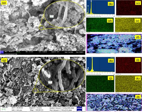 a femes micrograph of sio2 cnt inset high resolution sio2 cnt b edx