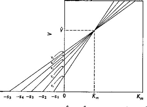 Figure 1 From The Direct Linear Plot A New Graphical Procedure For Estimating Enzyme Kinetic