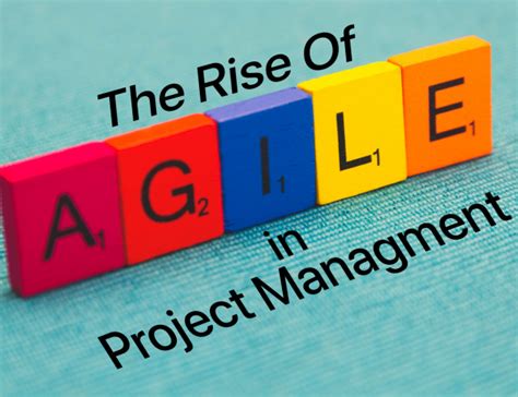 Is The Three Lines Of Defence 3ld Model Applicable To Your Organisation Sapience Consulting