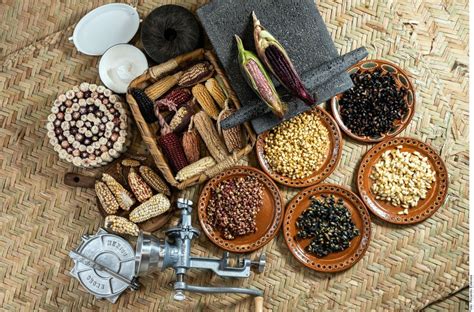 10 Productos Originarios De Mexico Tsxd
