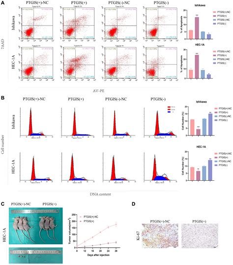 Analysis And Experimental Validation Of Fatty Acid Metabolism Related Genes Prostacyclin