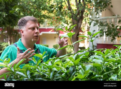 A Gardener Was Horrified To Discover Moth And Aphid Insects On Plant