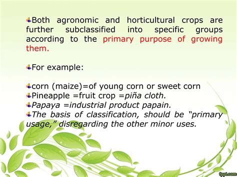 Classification Of Agricultural Crops Ppt Ppt