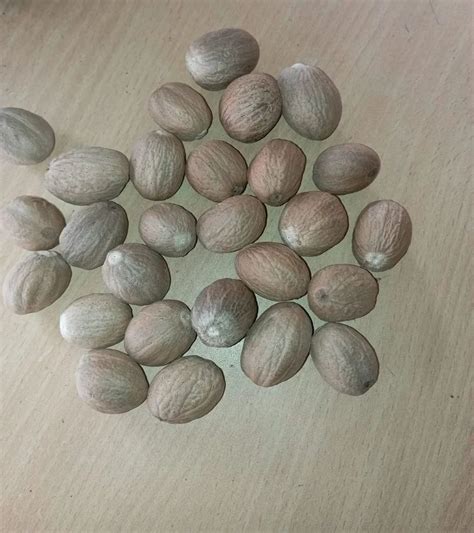 Without Shell Nut Meg Tiger At Rs 535 Kg Jaiphal In Jaipur Id