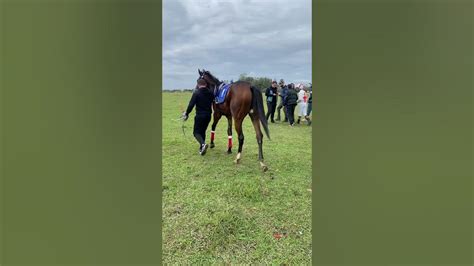 ცხენი ელიტა დოღი ზუგდიდის თასი 2024 Youtube