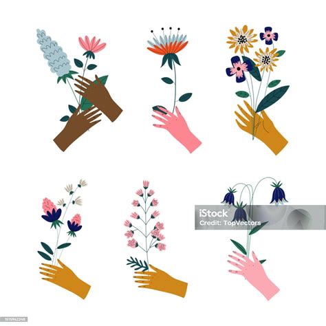 꽃이 만발한 꽃 다발을 들고 있는 여성의 손들 섬세한 초원 꽃 만화 벡터 그림의 우아한 꽃다발 개화에 대한 스톡 벡터 아트 및 기타 이미지 Istock