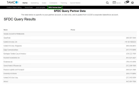 Making An Sfdc Query Available To Partners Ziftone Admin