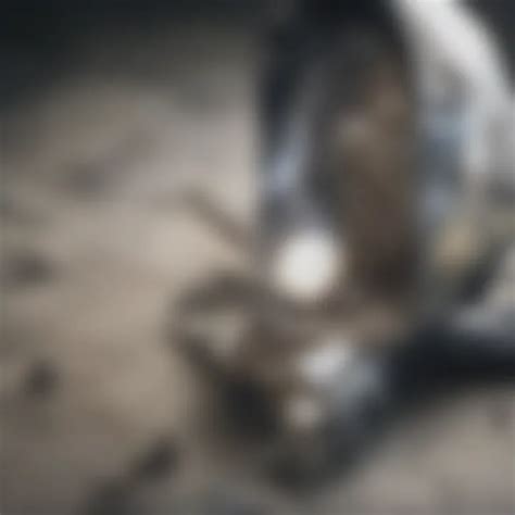 Exploring Ore Sorting Technologies In Mining