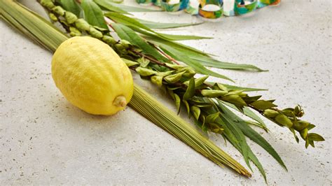 Lulav Signs Of The Faith Christians For Israel International