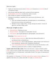 Understanding Lipids Types Functions And Importance In Cells Course Hero