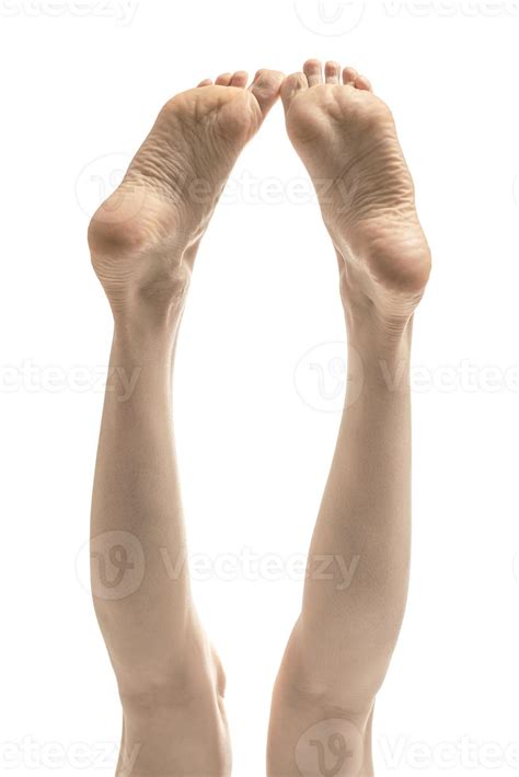 Beautifully Groomed Female Legs On A White Background 15189698 Stock