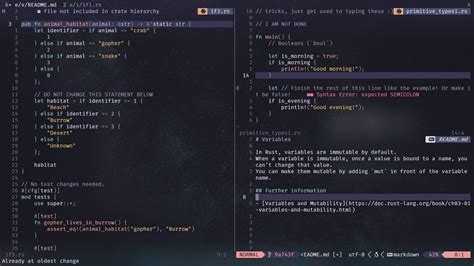 neovim rice r vimporn