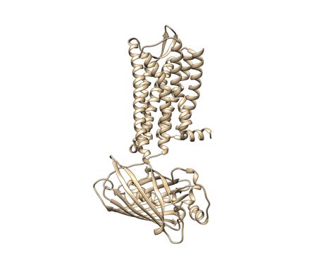 Tian Lab Max Planck Florida Institute For Neuroscience