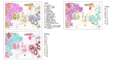 23 Clustering Orchestrating Spatial Transcriptomics Analysis With Bioconductor