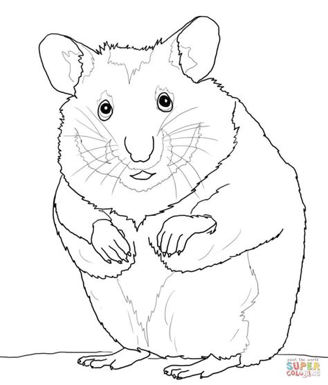 S Lection De Coloriage Hamster Imprimer Sur Laguerche Com Page
