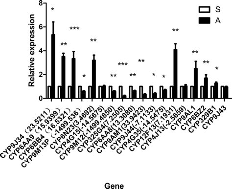 Validation Of The RNA Seq Data RNA Seq And QRT PCR Based Fold Changes Download Scientific