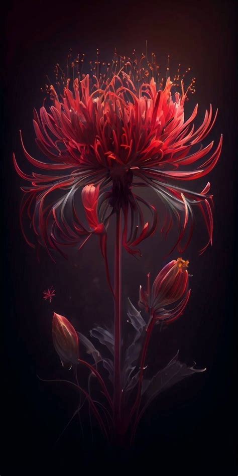 Spider Lily Lily Wallpaper Red Spider Lily Anime Artwork Wallpaper