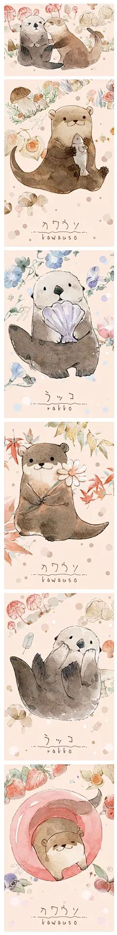 河狸图片大全 河狸高清好看的图片 花瓣用户rcmsfh5v的画板