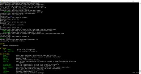 基于 Rust 的 Wasmwasi 开发探索与实践（linux开发环境）wasi安装 Csdn博客