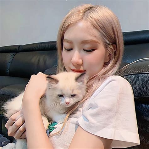 肉的随机头像 祝肉生日快乐呀 （朴彩英） 高清图片，堆糖，美图壁纸兴趣社区