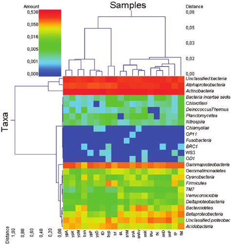Double Dendrogram Based On The Ward Minimum Variance Clustering Method