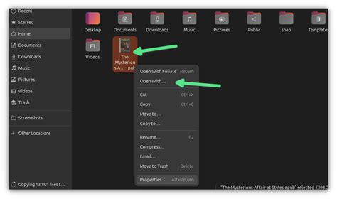 How To Open EPub Books In Ubuntu Linux