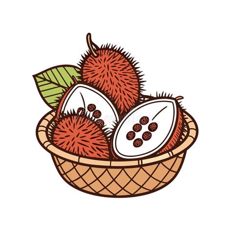 Vibrant Achiote Fruits Ilustraciones Stock Vectores Y Clipart 6