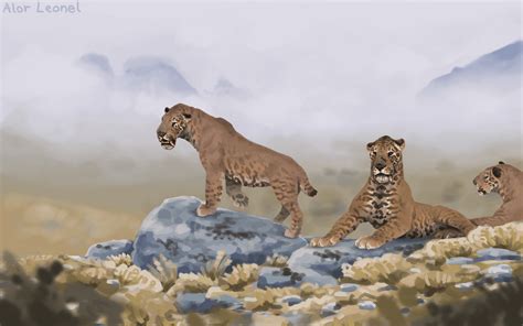 Smilodon In The Morning By Alor Leonel Rpaleontology