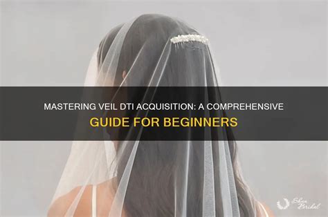 Mastering Veil Dti Acquisition A Comprehensive Guide For Beginners
