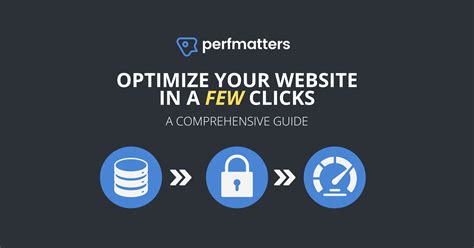 Website Performance Optimization With Perfmatters Steps Guide ProActivation