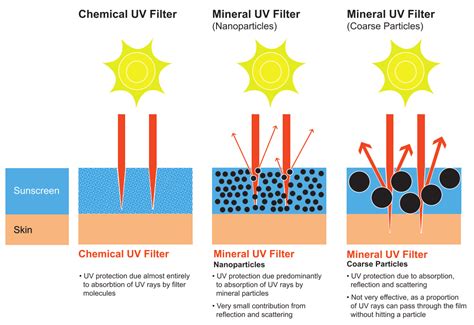 10 Of Your Safety Questions About Sunscreen Now Answered Ultra Bee