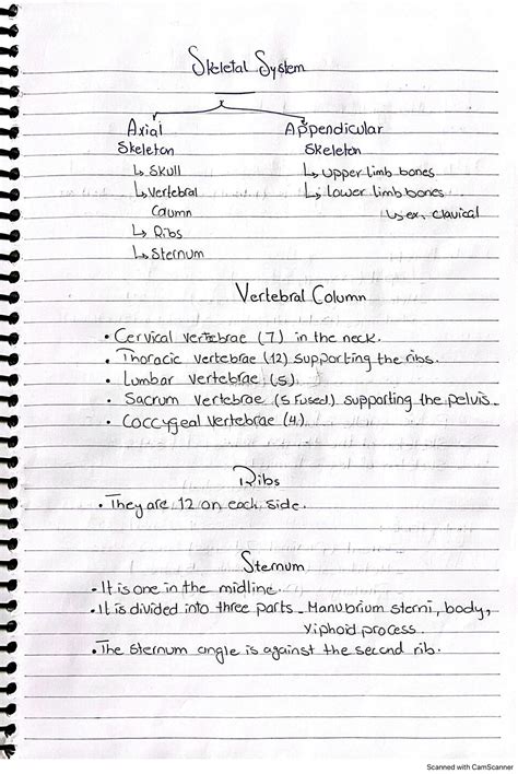 SOLUTION Introduction To Anatomy Skeletal System Classification Types Of Bones And