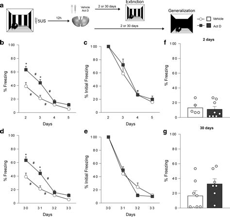 Contextual Fear Memory Triggered By Inhibiting De Novo Transcription
