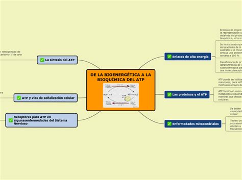 Bioenergetica Bioquimica Mapa Conceptual Jlibalwsap