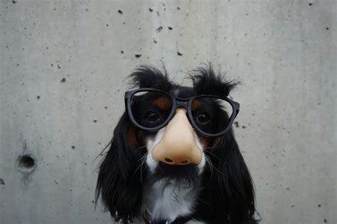Chrome Will Disable Modifying `documentdomain` To Relax The Same