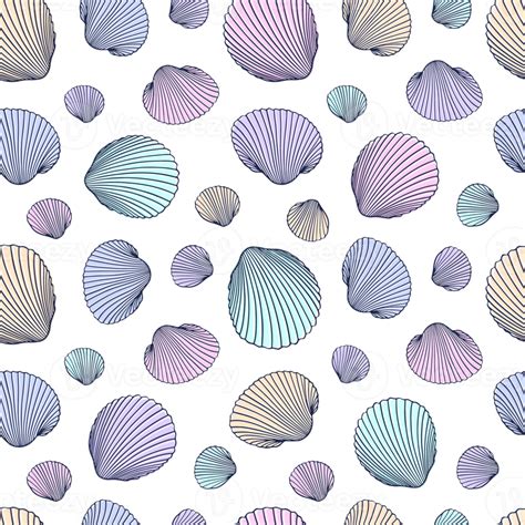 Shell Pattern Hand Drawn 16458292 Png Shell Pattern Hand Drawn 16458292 Png