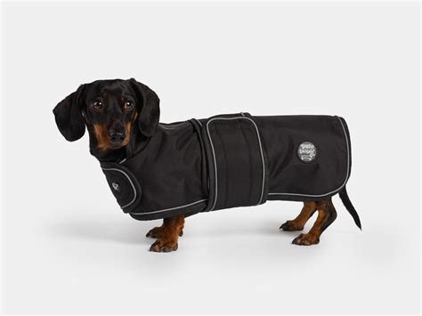 Sassy Sausage Dachshund Clothing