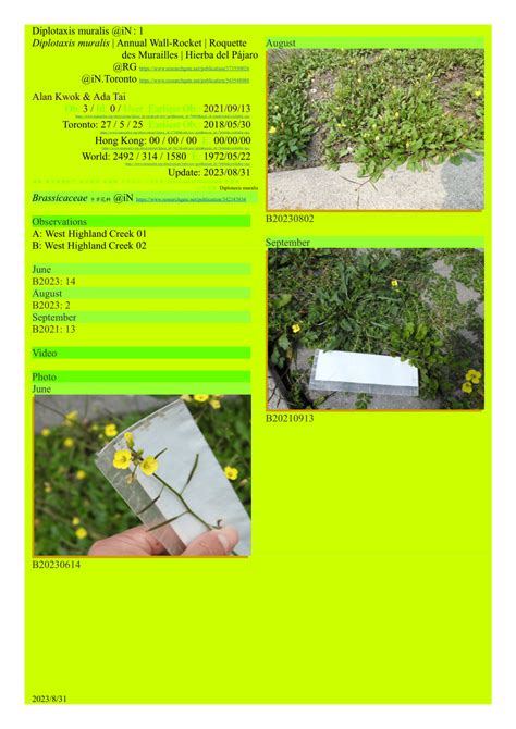 Pdf Diplotaxis Muralis In