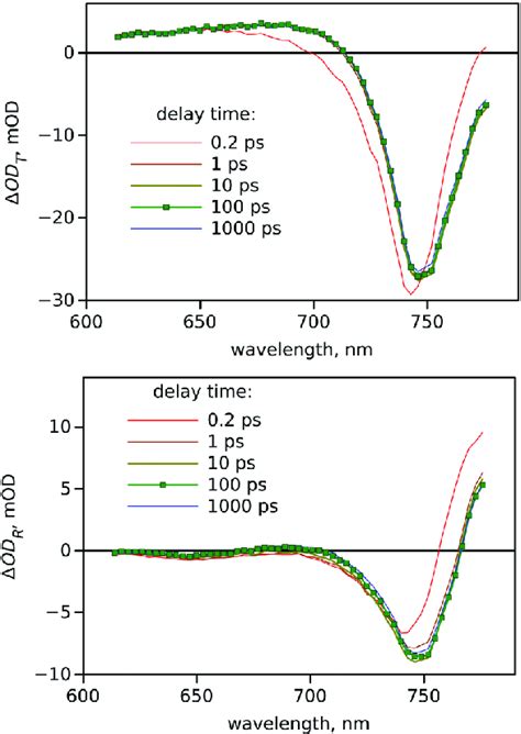 Time Resolved Transient Absorption Spectra Of The Perovskite Layer