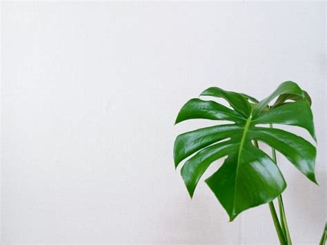 최신 신조어 모음10가지 네이버 블로그