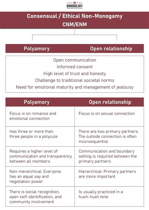 what is the difference between polyamory and open relationship pybenefits