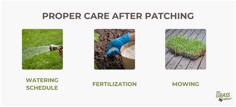 How To Fix Patchy Grass A Step By Step Lawn Repair Guide