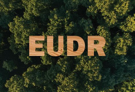 Eudr Is Not Just A Law — Its A New Rulebook For Wood And Furniture